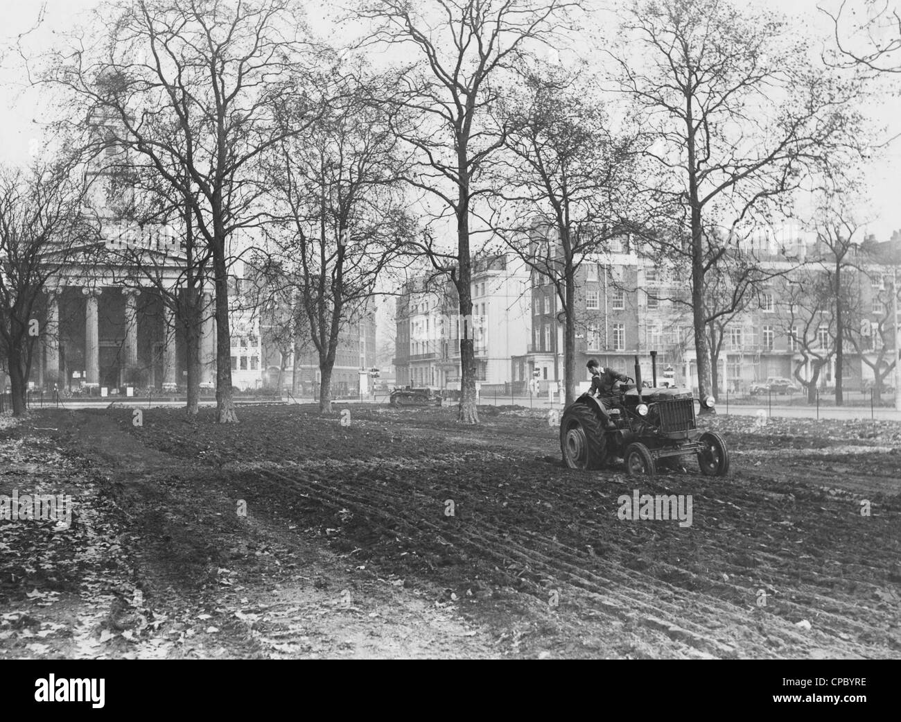 Eaton Square, Belgravia. A vintage Fordson tractor drawing a plough in ...