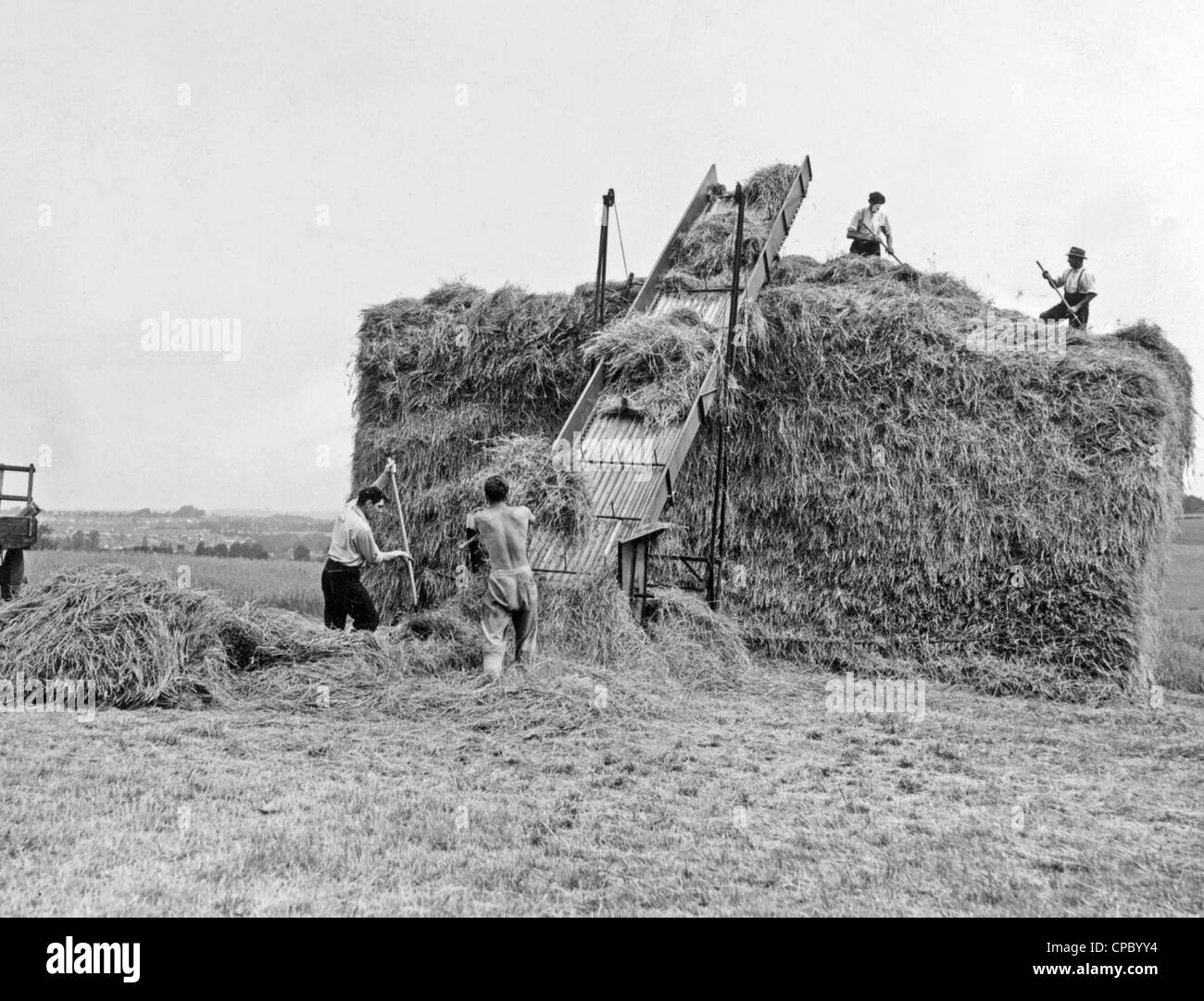 Building a haystack in 1950s hay carried to top of stack by an elevator ...
