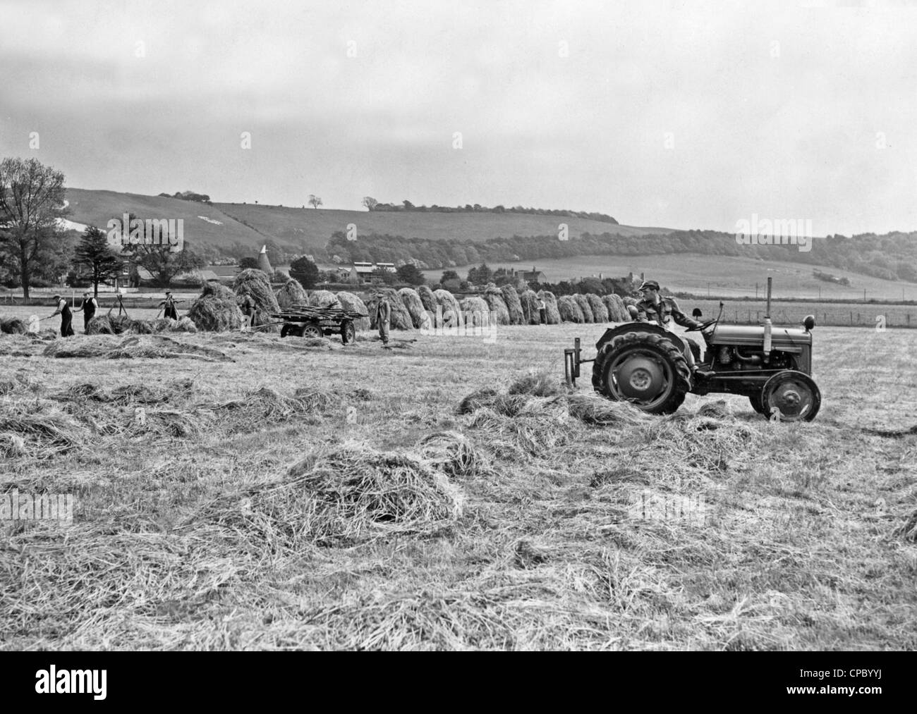 Hay making haymaking hi-res stock photography and images - Alamy