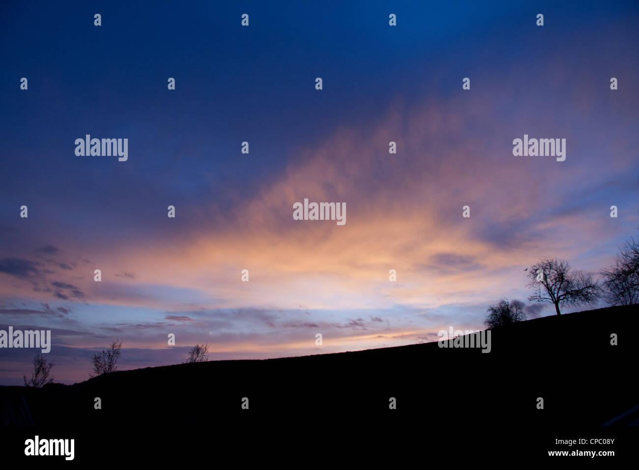 Early morning sunrise capturing a solitary tree Stock Photo - Alamy
