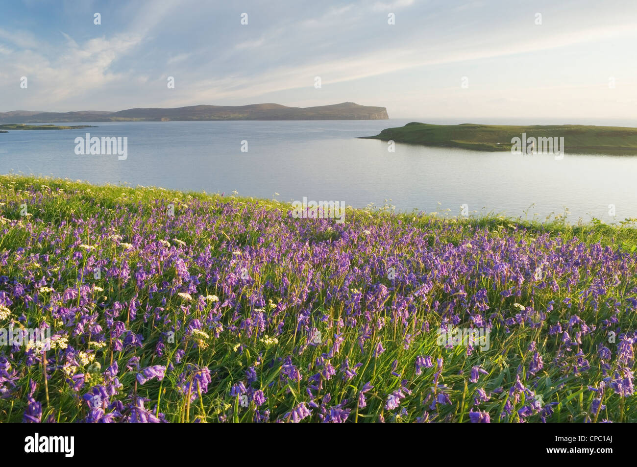Ardmore hi-res stock photography and images - Alamy
