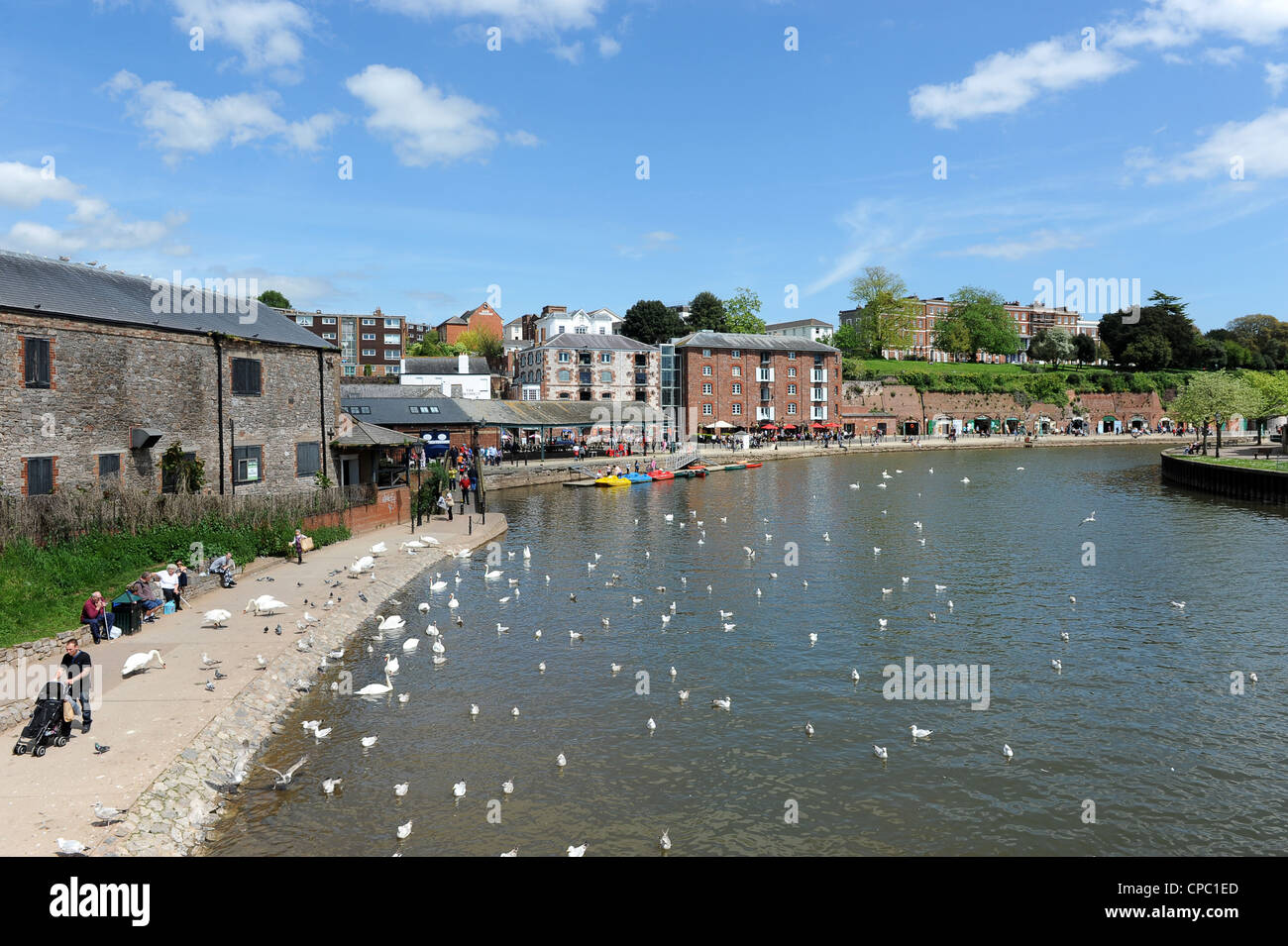 River Exe High Resolution Stock Photography and Images - Alamy