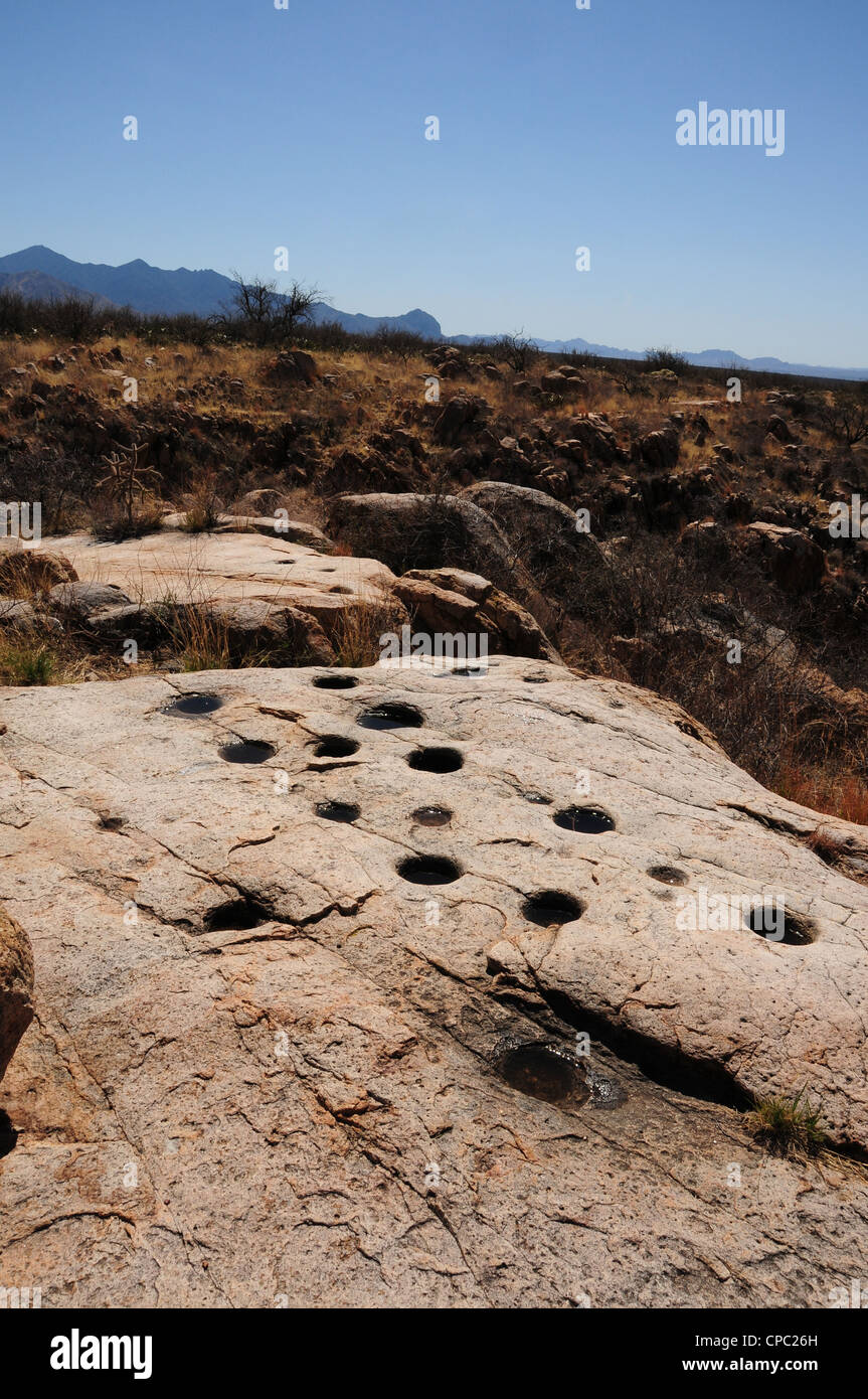 Metates used to grind food by Native Americans or Indians, Santa Rita ...