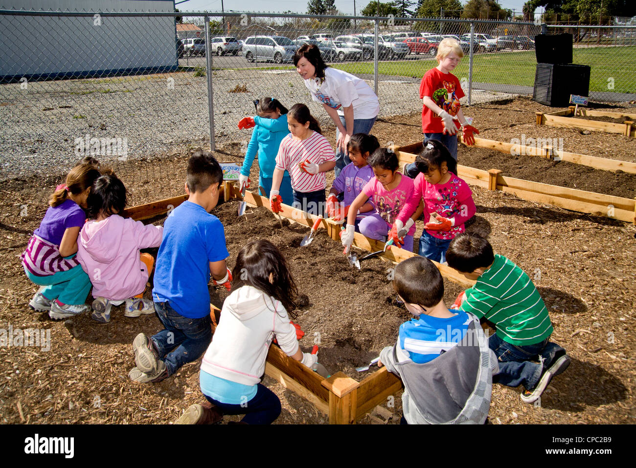 Hispanic and Caucasian local kindergarten children work in a garden on ...