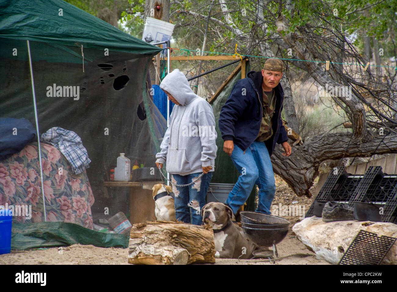 A homeless couple and their dogs live in a home-made shack and an old ...