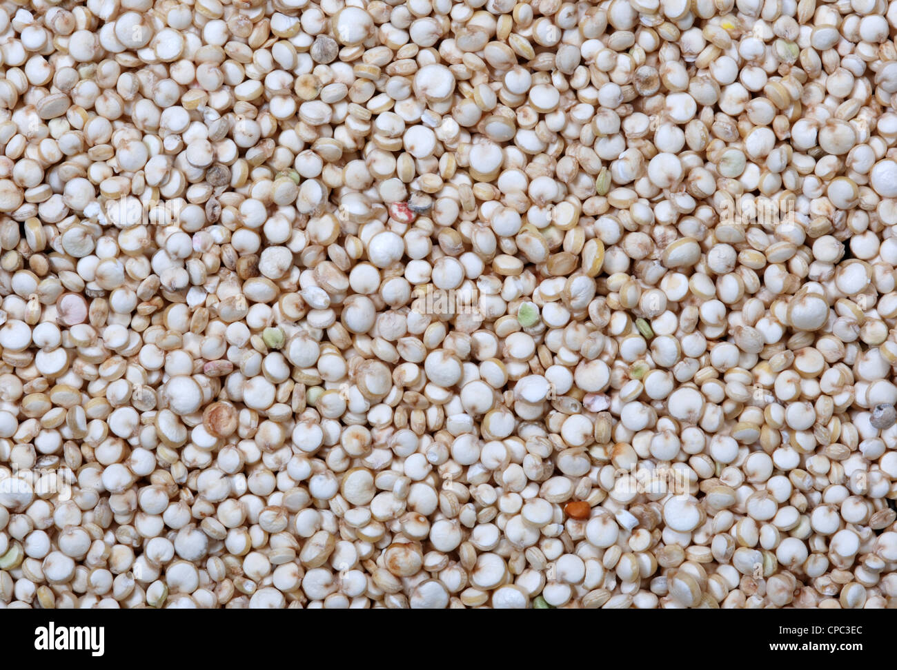 Close up of Quinoa grains Stock Photo - Alamy