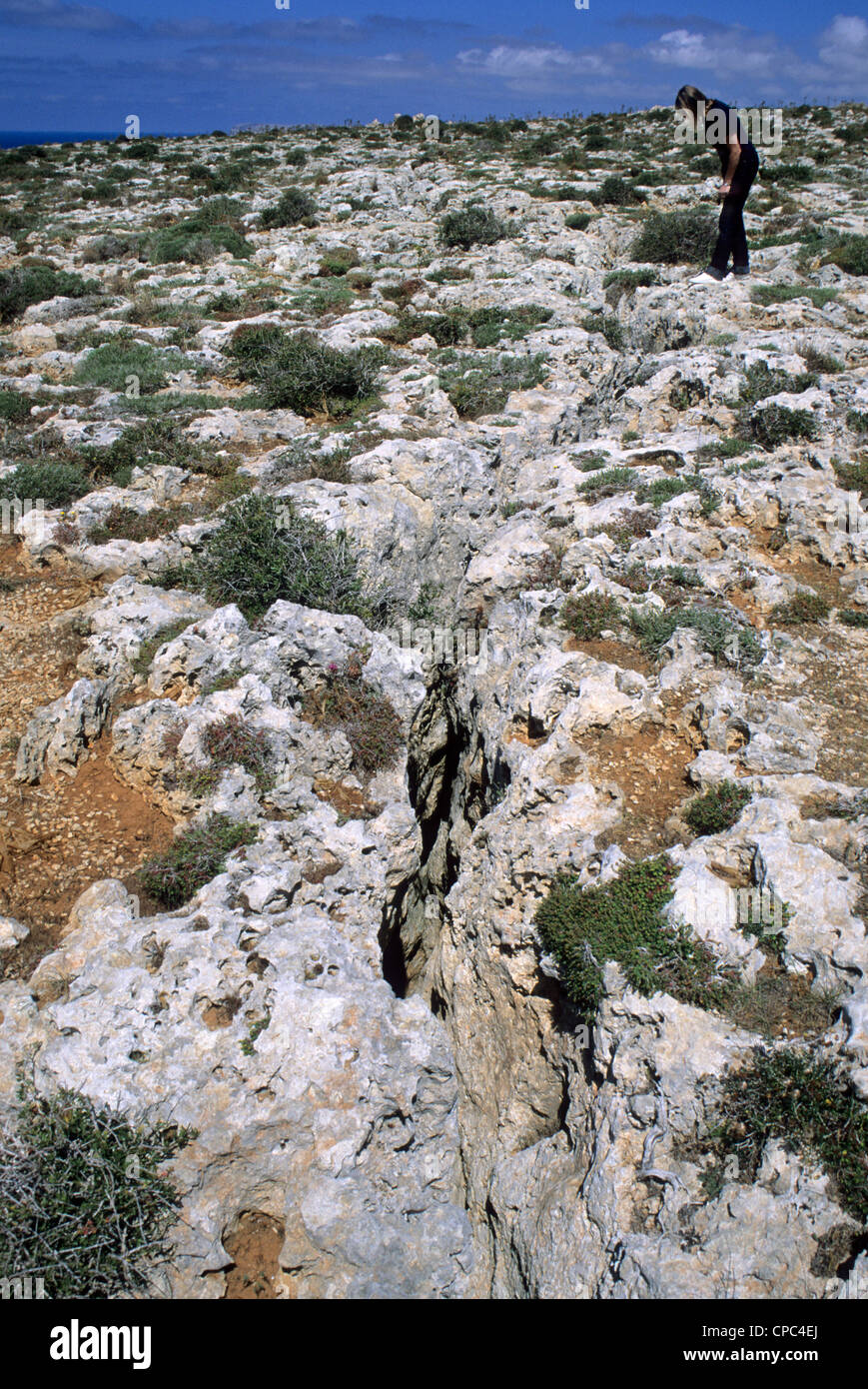 Northwest Malta, Marfa Ridge. Fissures Proliferate among the Limestone ...