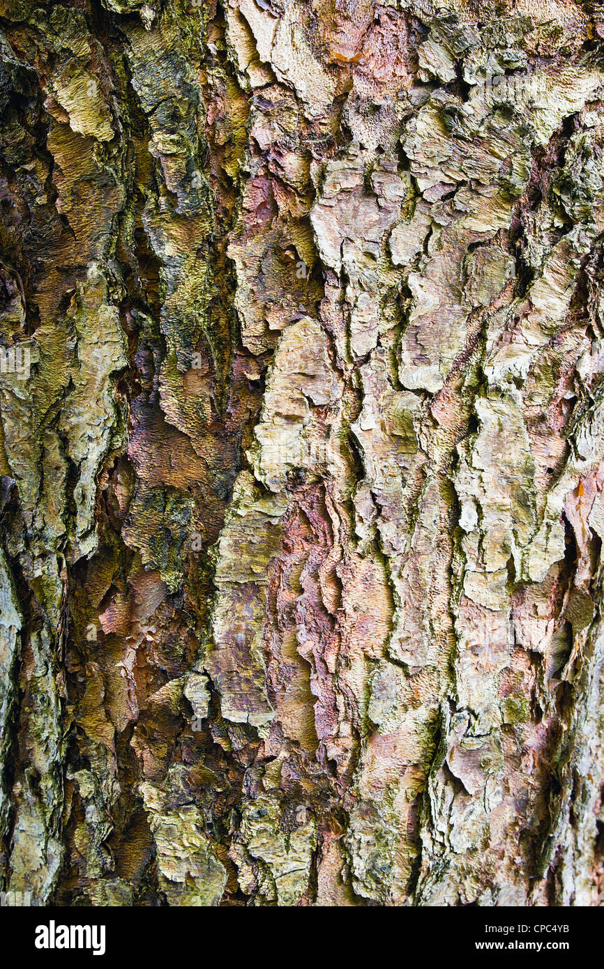 Chinese texture hi-res stock photography and images - Alamy