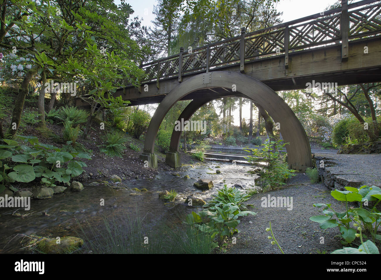 Wooden Bridge Over Stream in Crystal Springs Rhododendron Garden in ...