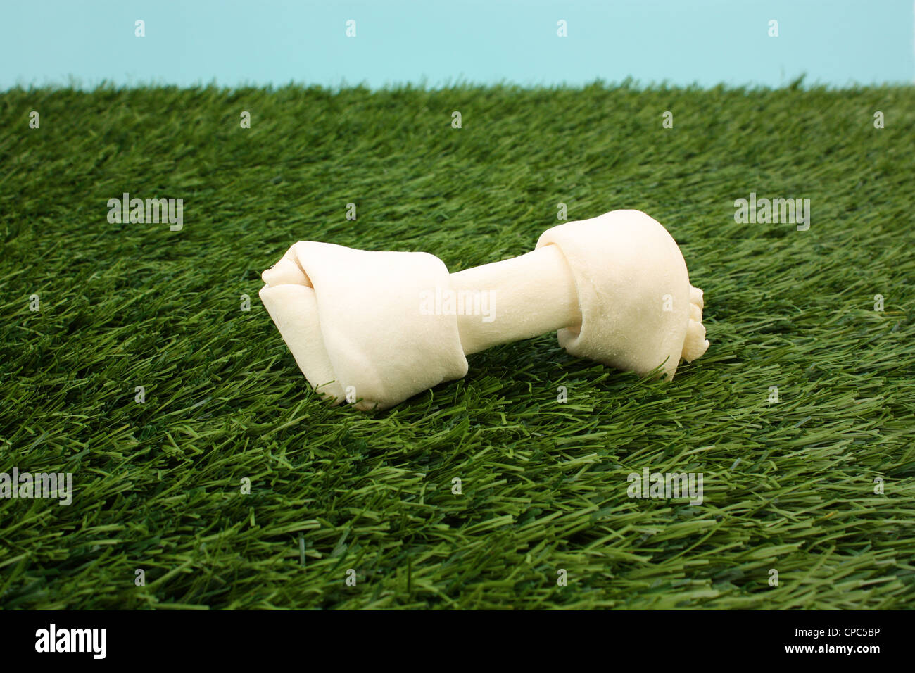 Dog Bone Sitting In A Grass Area Stock Photo - Alamy