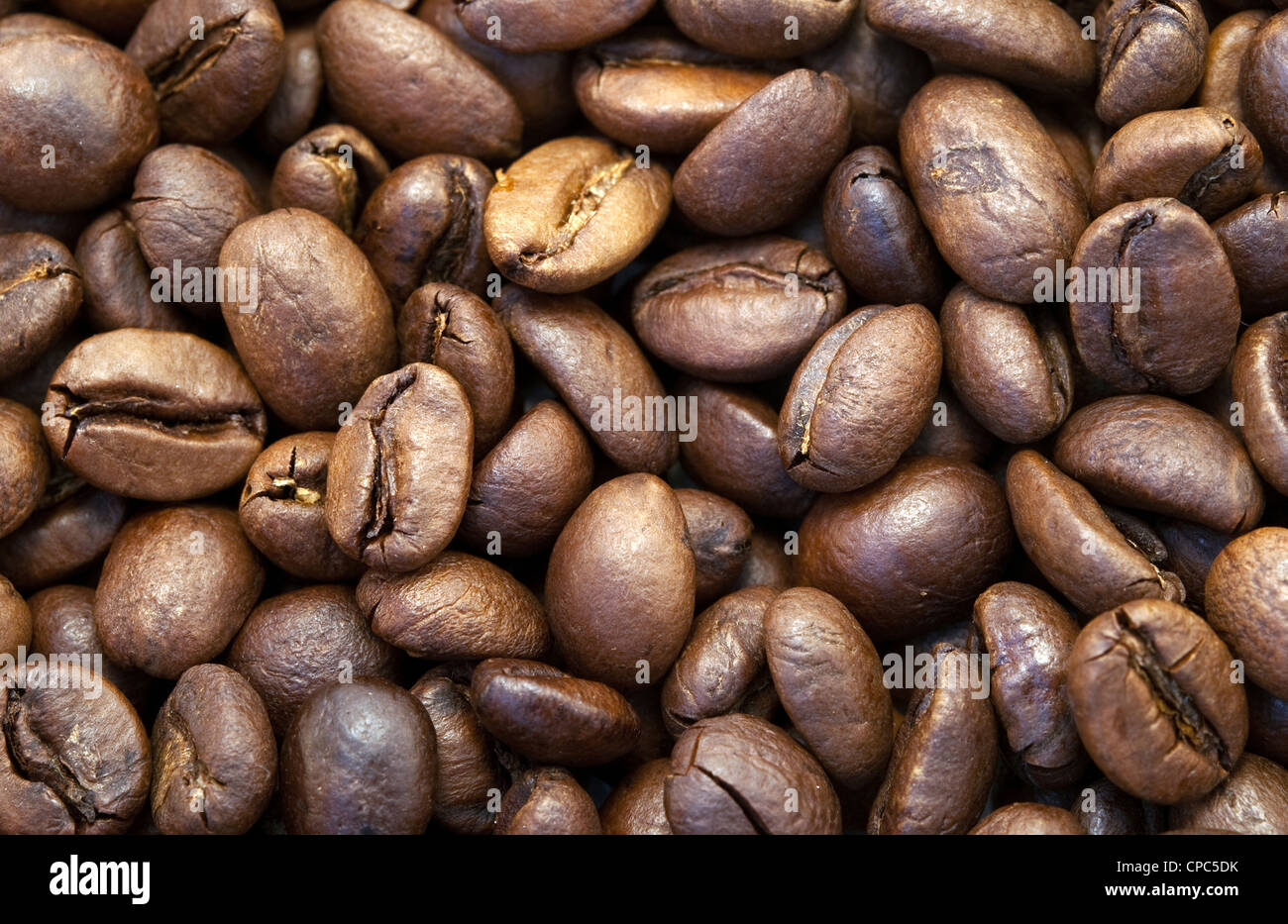 grains of coffee by a large plan Stock Photo - Alamy