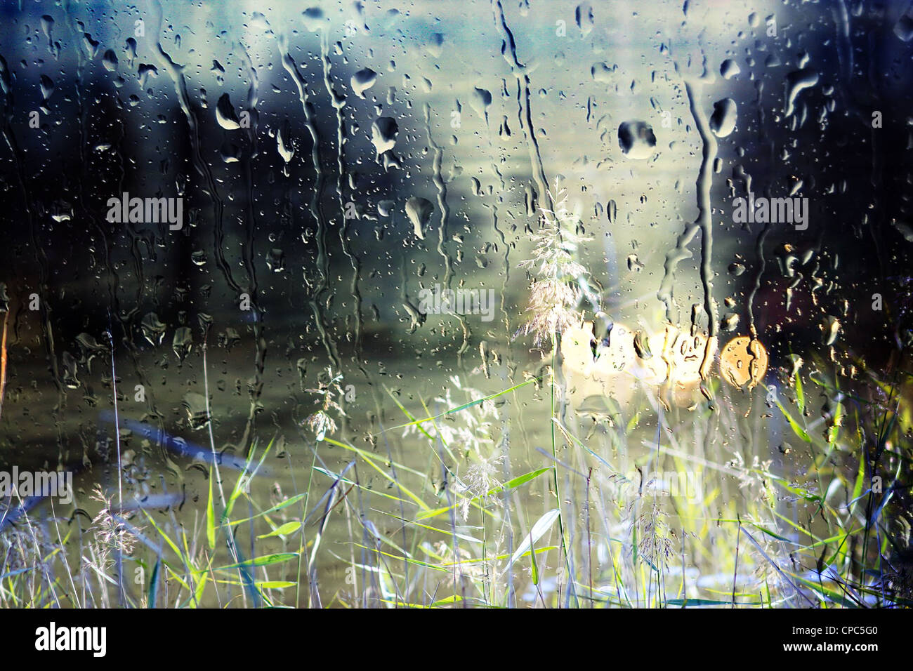 Garden scene through window hi-res stock photography and images - Alamy