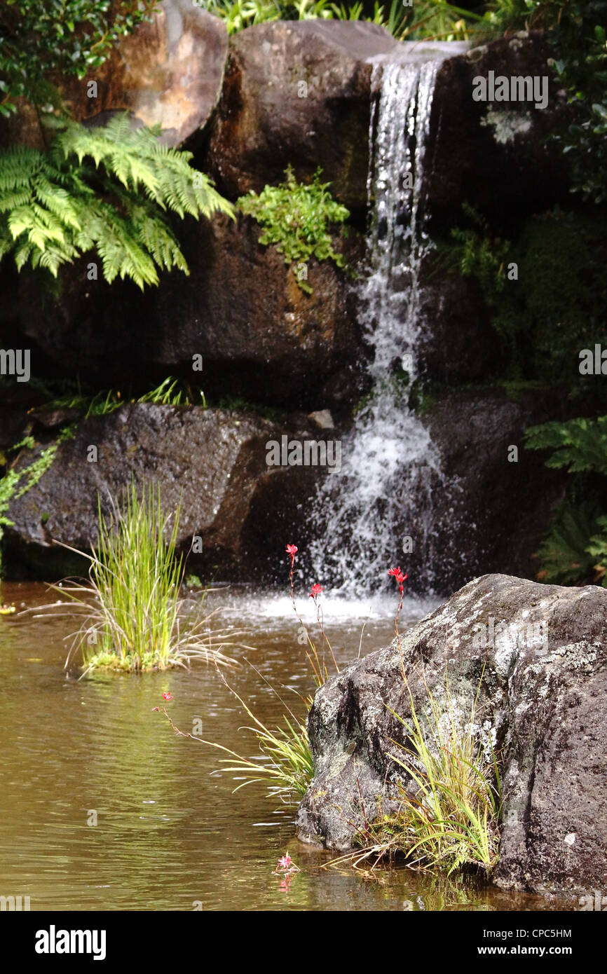 Mini pool hi-res stock photography and images - Alamy