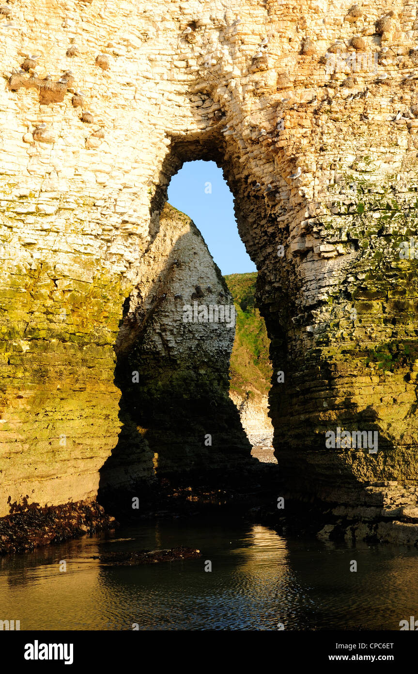 Flamborough head cave hi-res stock photography and images - Alamy