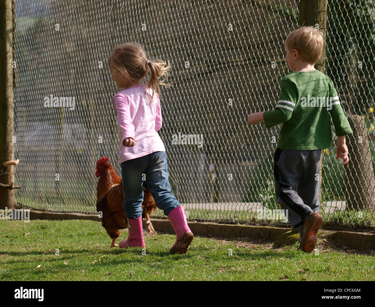 Chicken Chase High Resolution Stock Photography and Images - Alamy