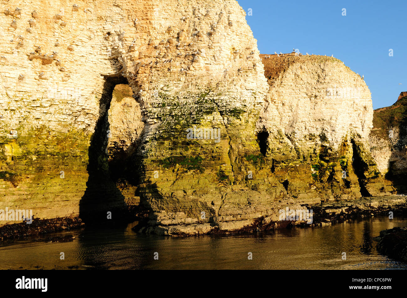 Flamborough Head East Riding Yorkshire coast England Stock Photo - Alamy