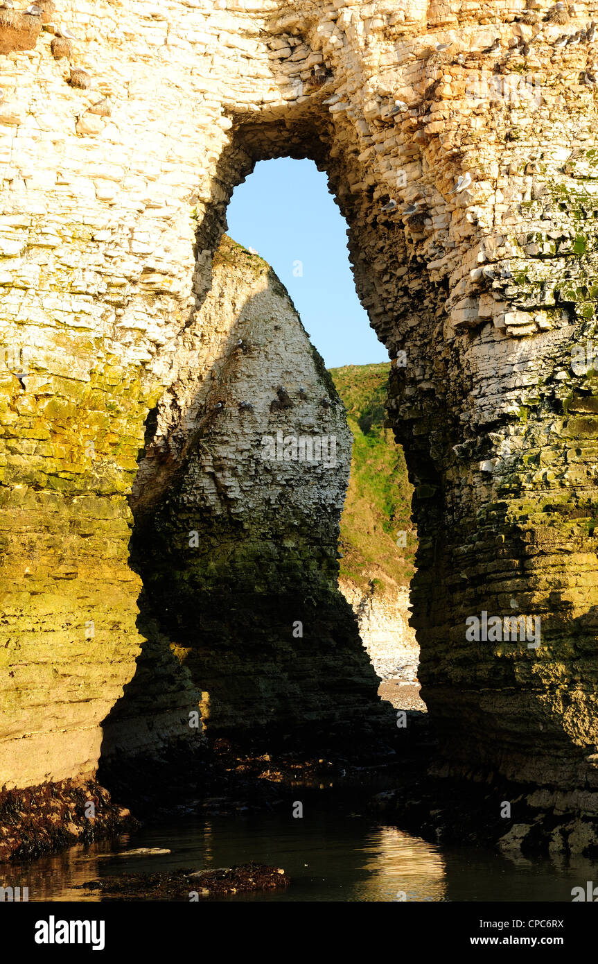 Flamborough head cave hi-res stock photography and images - Alamy