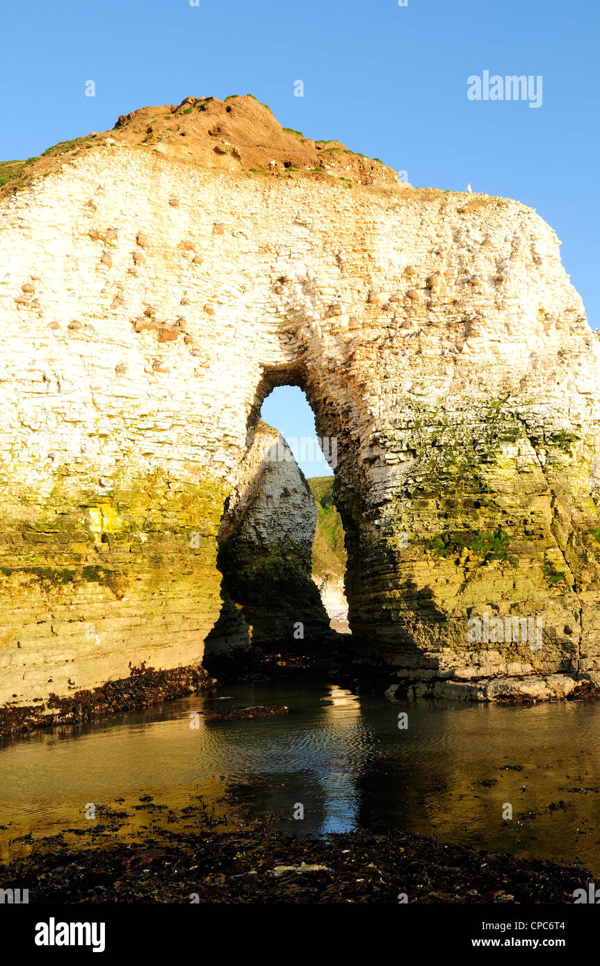 Flamborough Head East Riding Yorkshire coast England Stock Photo - Alamy
