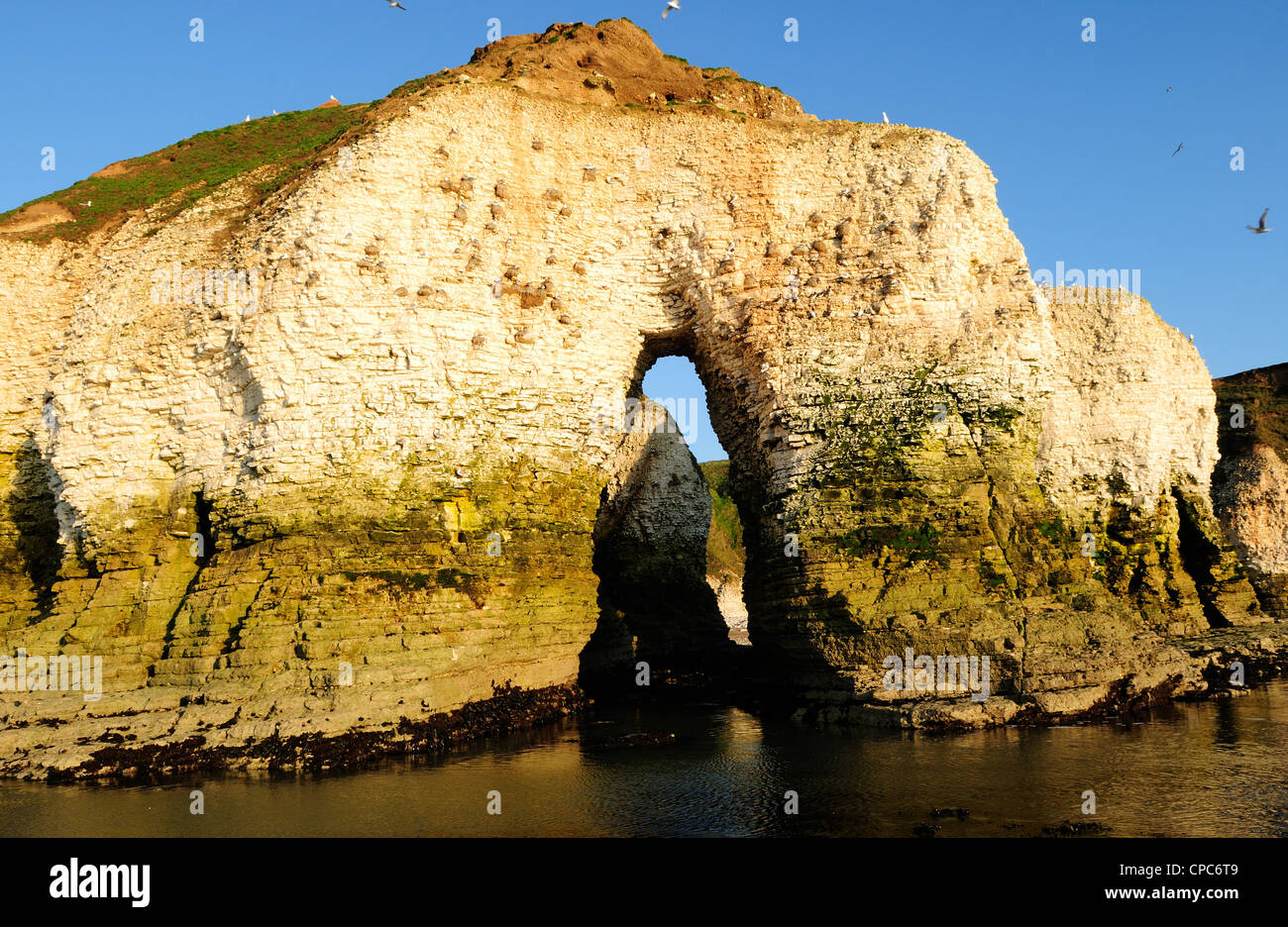 Flamborough Head East Riding Yorkshire coast England Stock Photo - Alamy