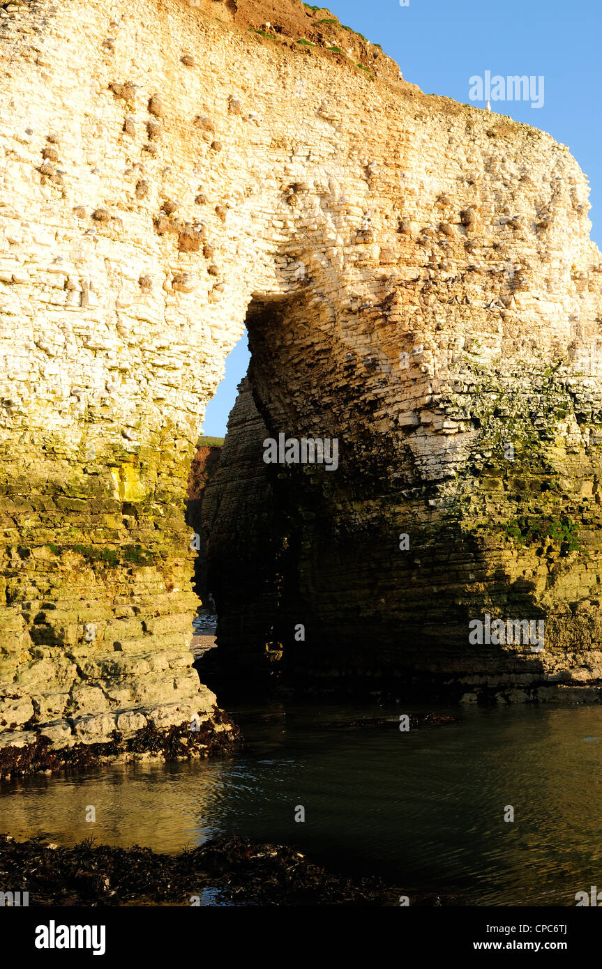 Flamborough Head East Riding Yorkshire coast England Stock Photo - Alamy