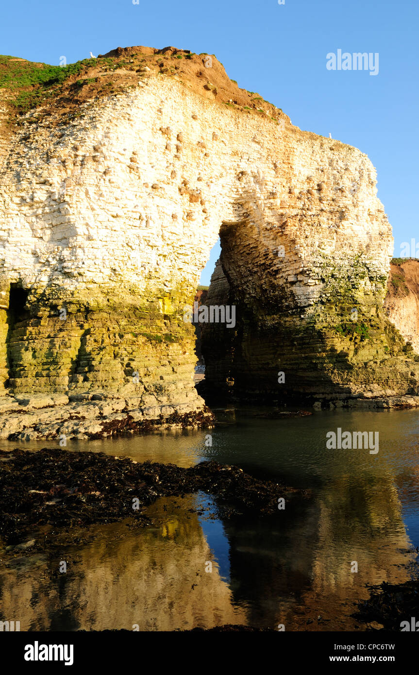 Flamborough Head East Riding Yorkshire coast England Stock Photo - Alamy