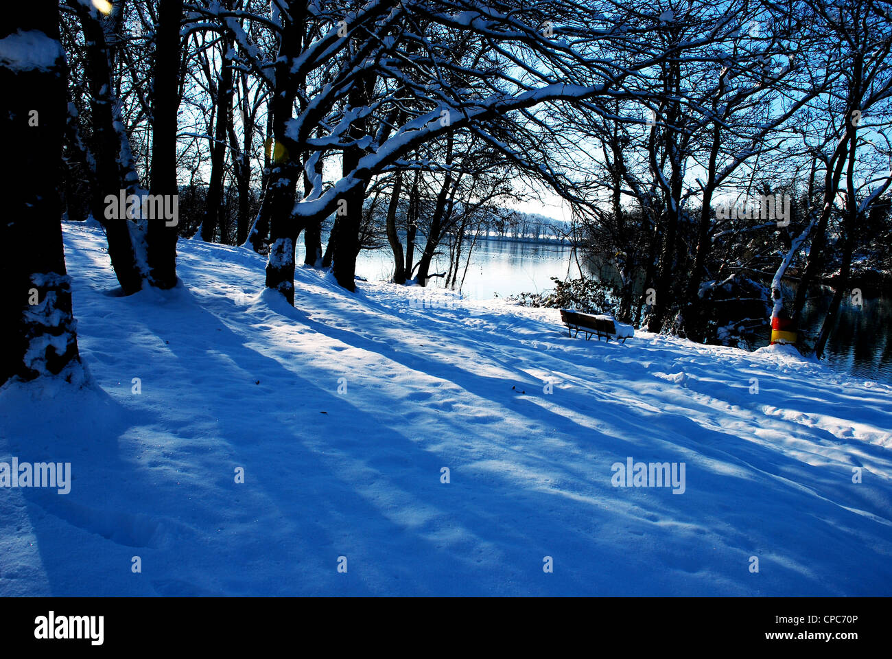 Ice scene stunning trees hi-res stock photography and images - Alamy