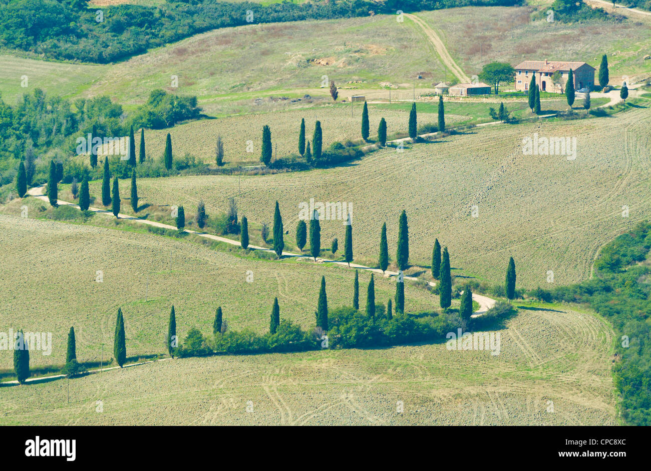 La Foce a tuscan icon a zigzag road lined with cypress trees near ...