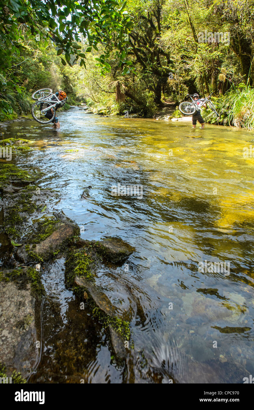 Pureora mountain hi-res stock photography and images - Alamy