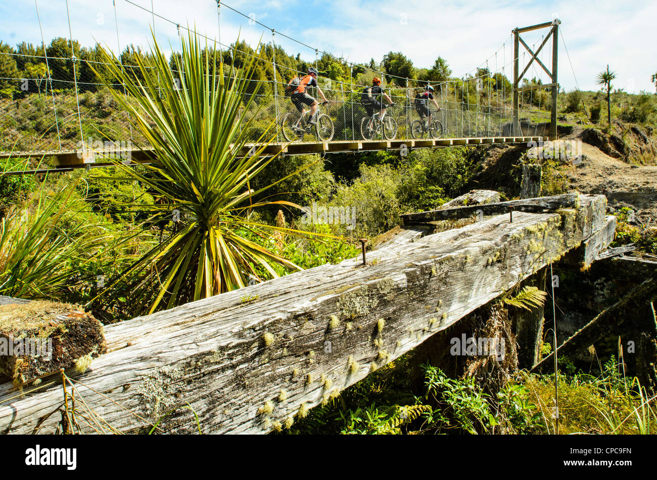 Pureora mountain hi-res stock photography and images - Alamy