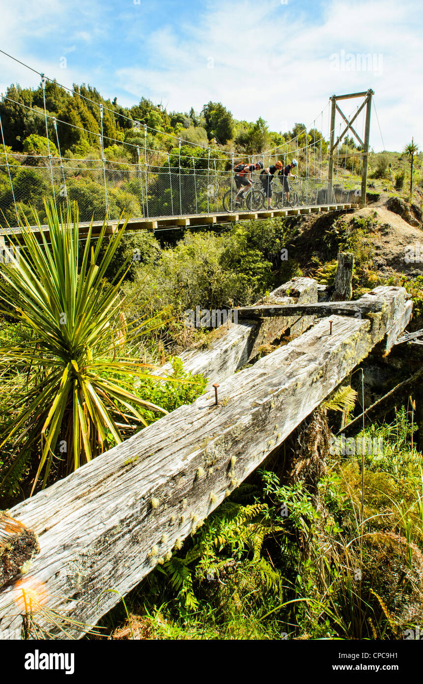 Pureora mountain hi-res stock photography and images - Alamy