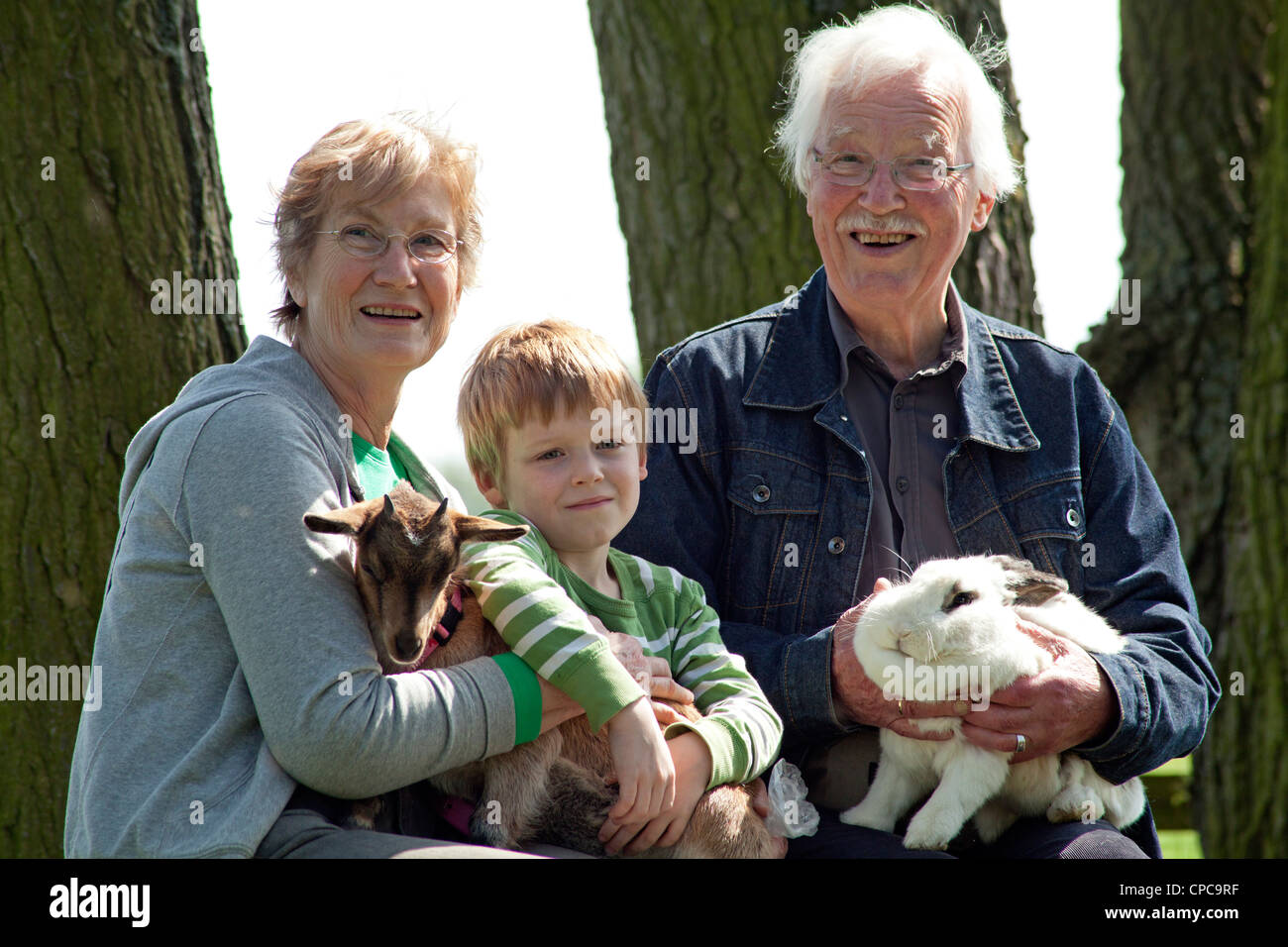 Granny goose hi-res stock photography and images - Alamy