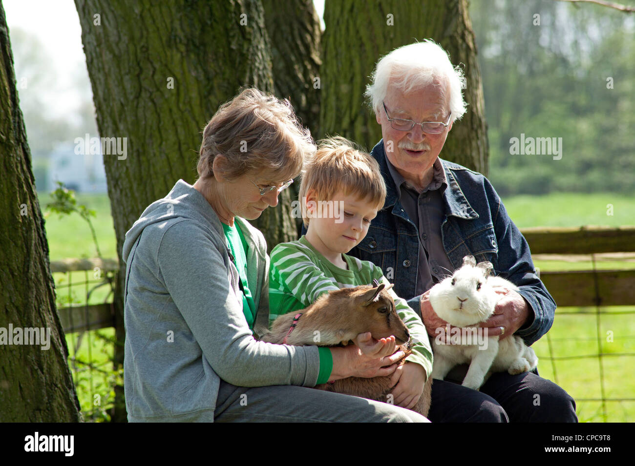 Granny goose hi-res stock photography and images - Alamy