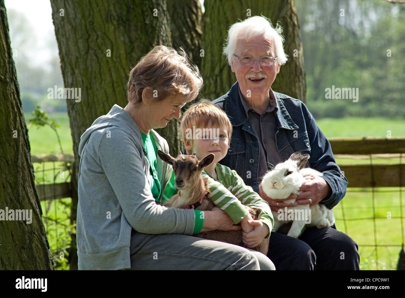 Granny goose hi-res stock photography and images - Alamy