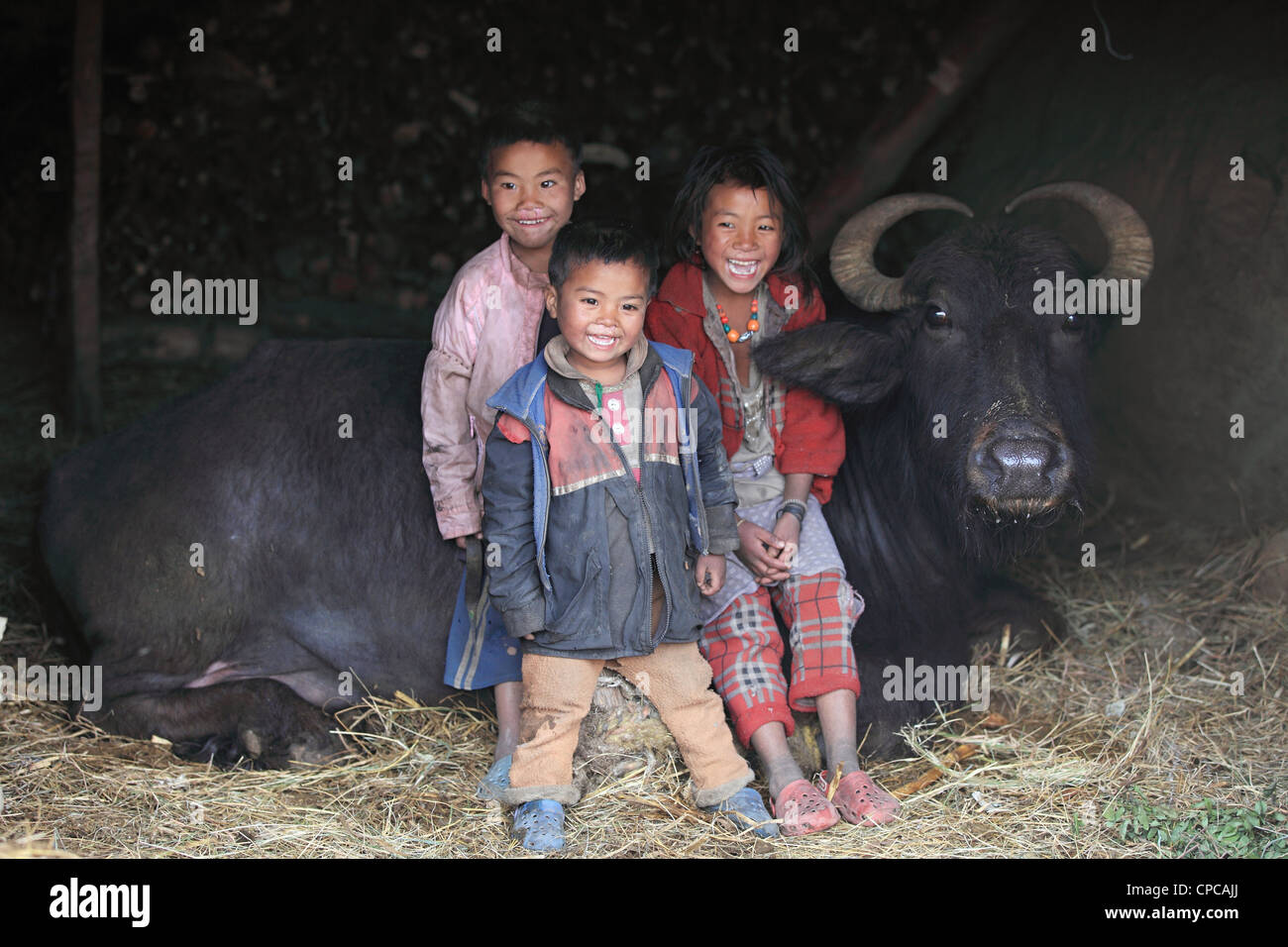 Nepali rural children Nepal Stock Photo - Alamy