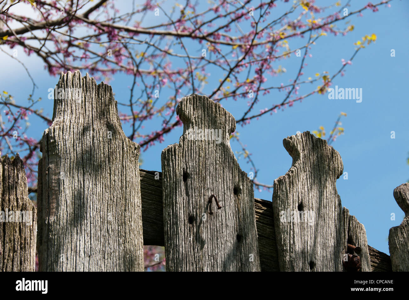 Rustic fence and gate Stock Photo - Alamy