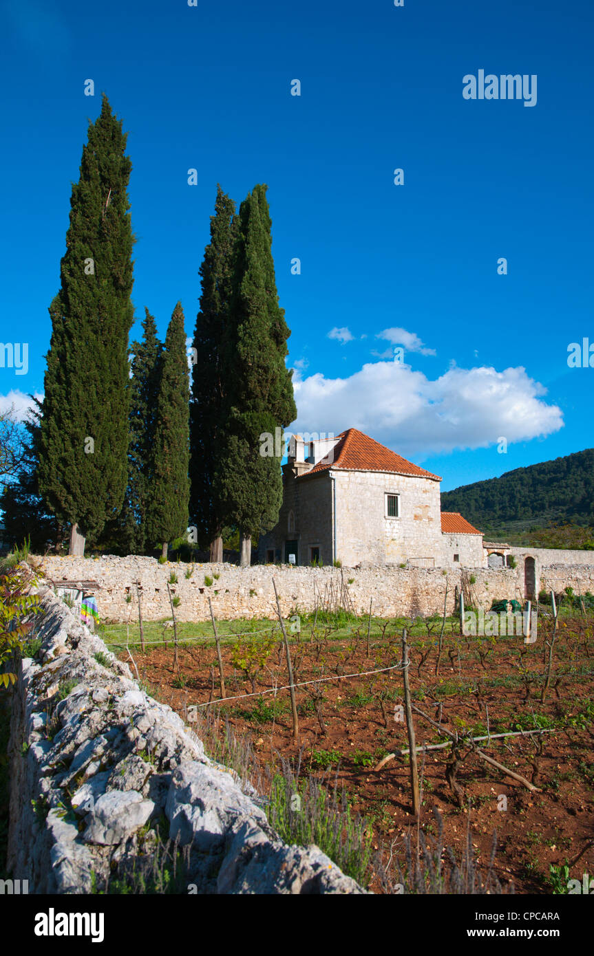 Plains with ancient Greek field division system Stari Grad, Hvar Island ...