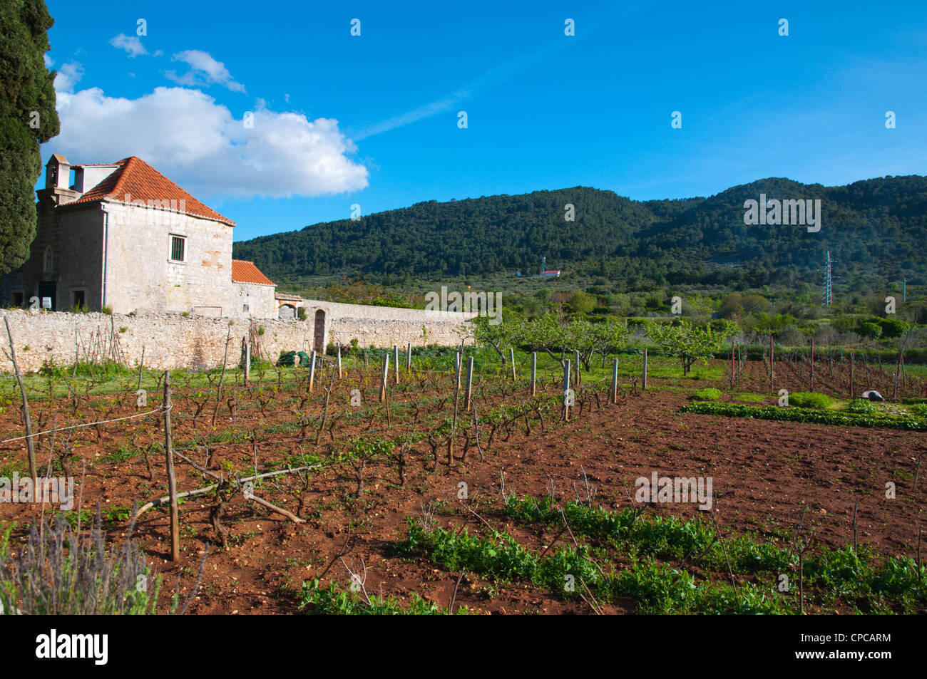 Plains with ancient Greek field division system Stari Grad, Hvar Island ...