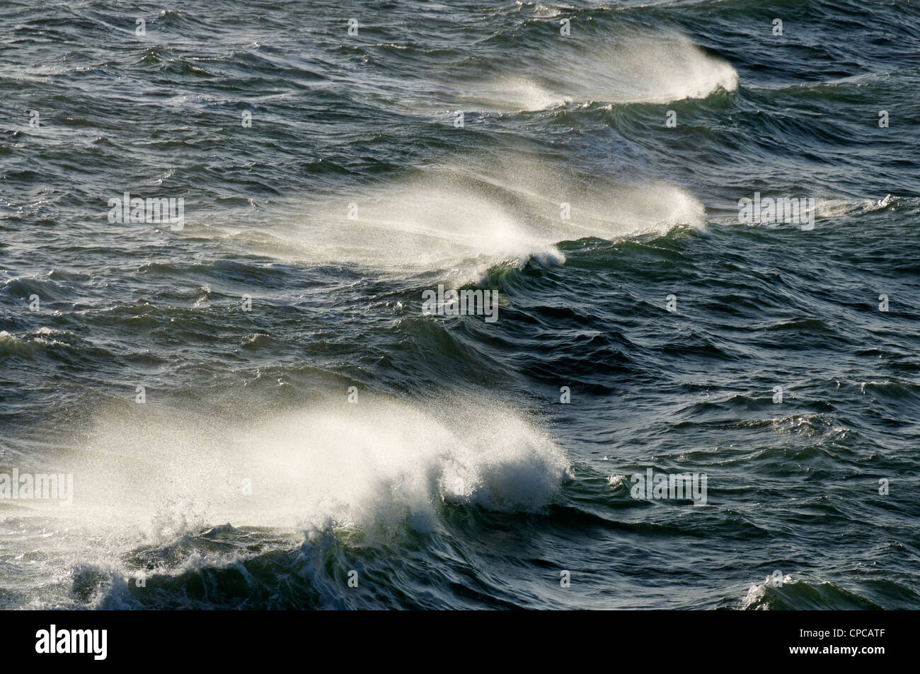 A line of windblown spray from waves Stock Photo - Alamy
