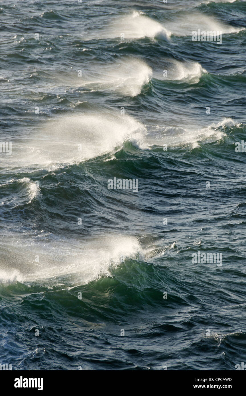 A line of windblown spray from waves Stock Photo - Alamy