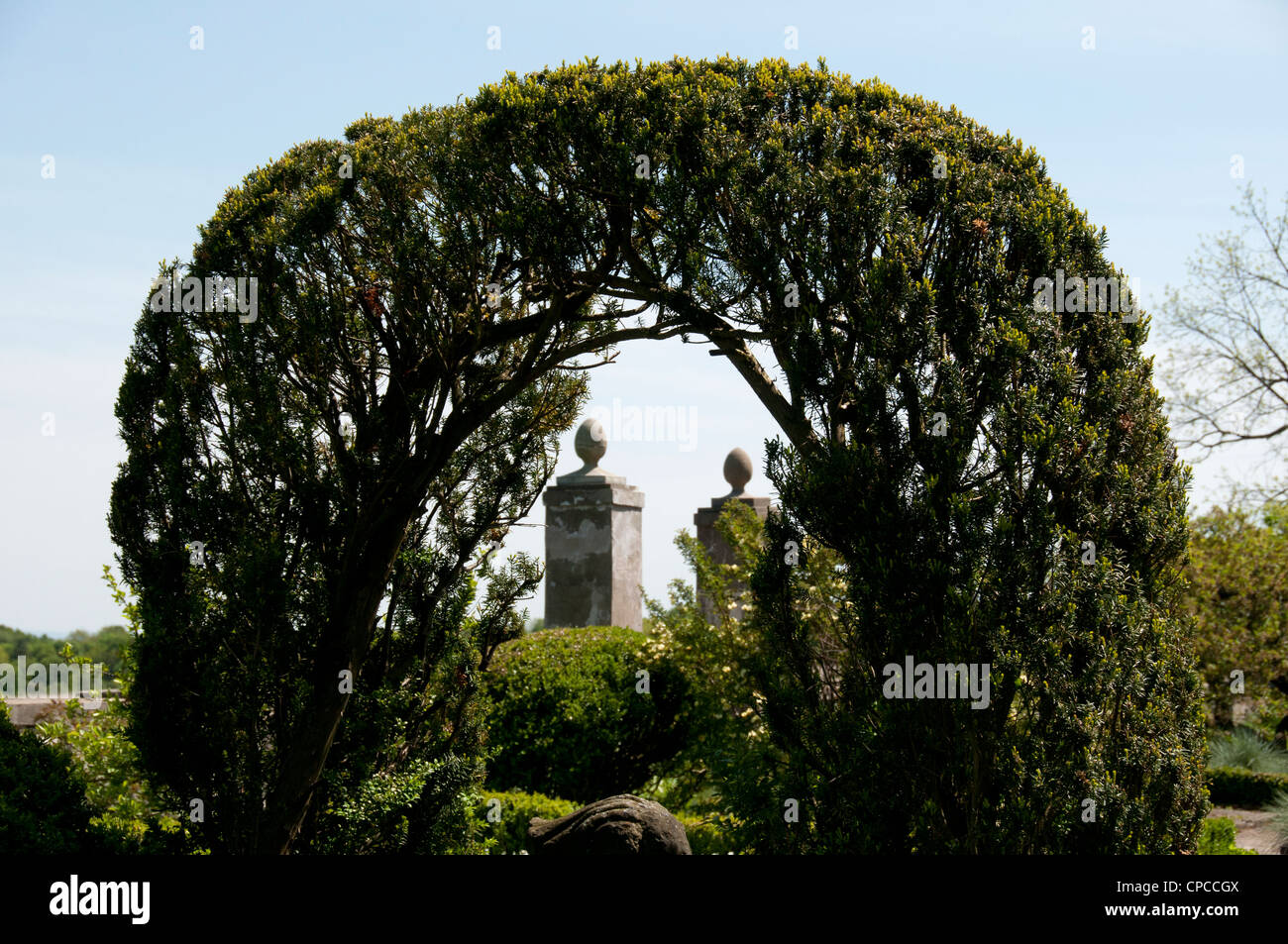 Hedge arch hi-res stock photography and images - Alamy