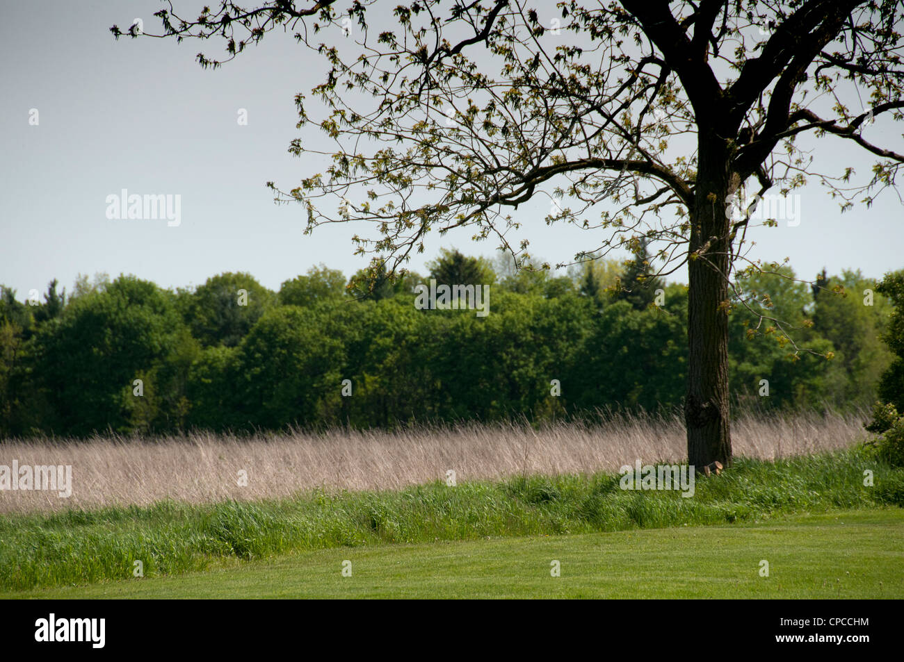 Bucolic scene hi-res stock photography and images - Alamy