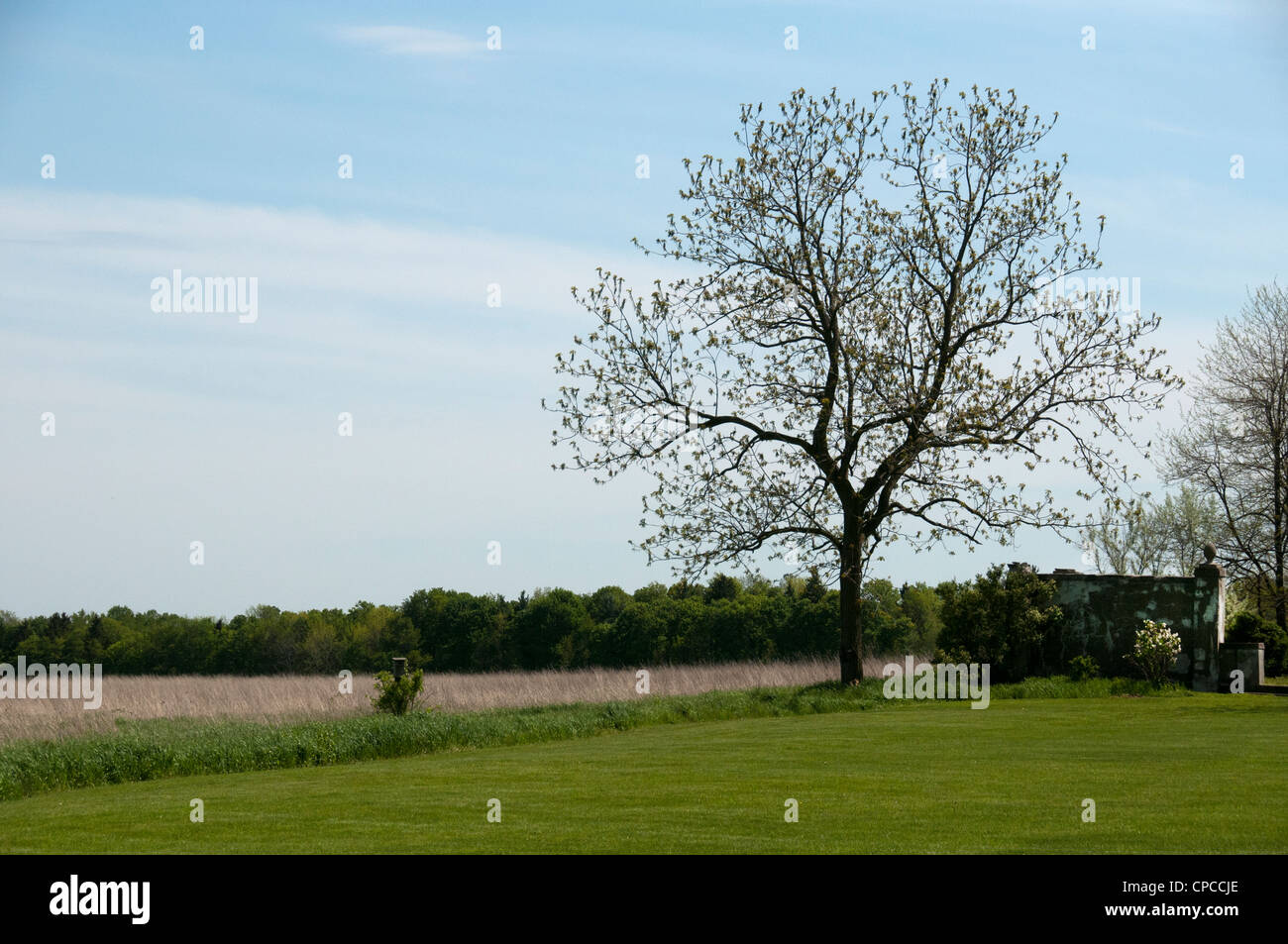 Bucolic scene hi-res stock photography and images - Alamy