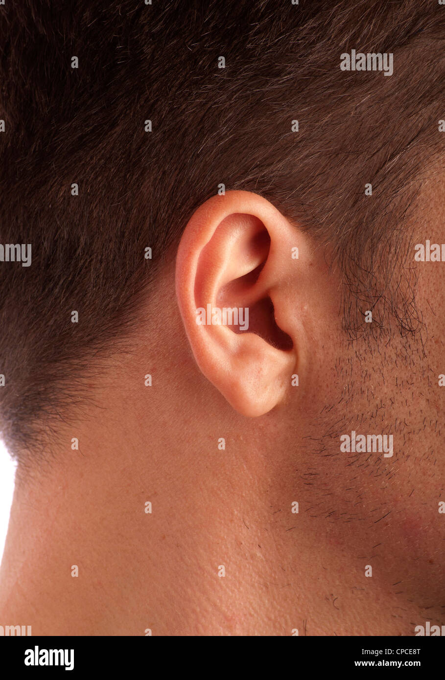 Ear vertical hi-res stock photography and images - Alamy