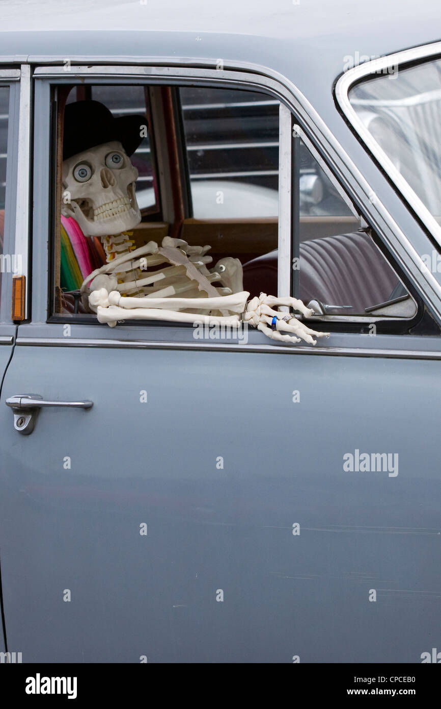 Skeleton Driving Car Stock Photos & Skeleton Driving Car Stock Images ...