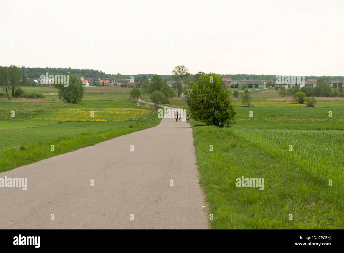 Cyclists on a rural road in Poland Stock Photo - Alamy