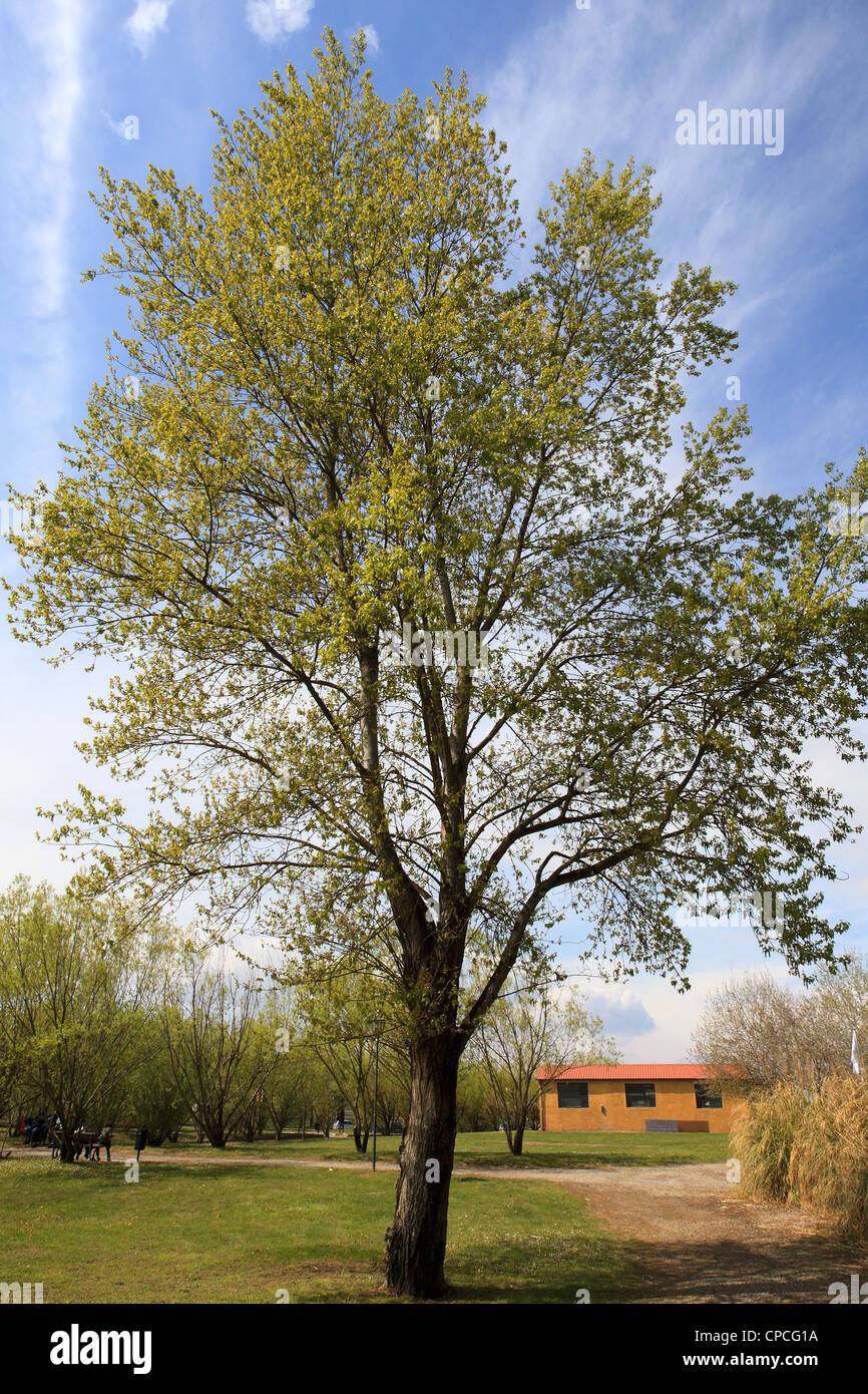 Secular structure hi-res stock photography and images - Alamy