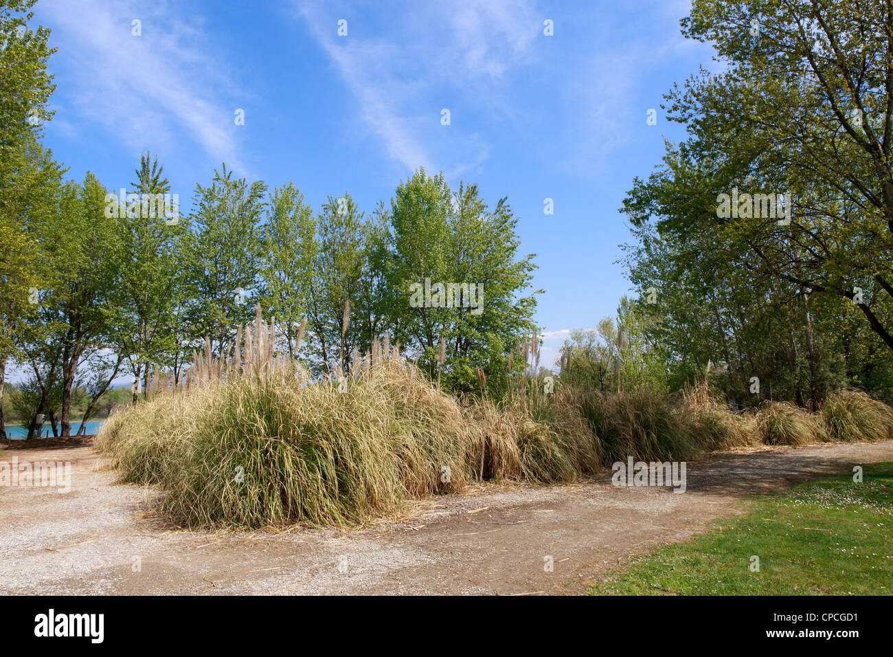 Habitat reserve hi-res stock photography and images - Alamy