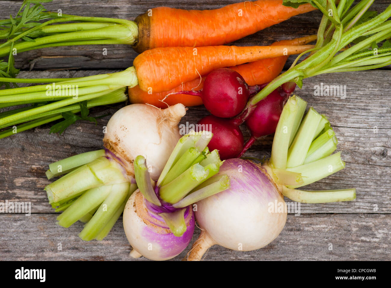 Fresh root hi-res stock photography and images - Alamy