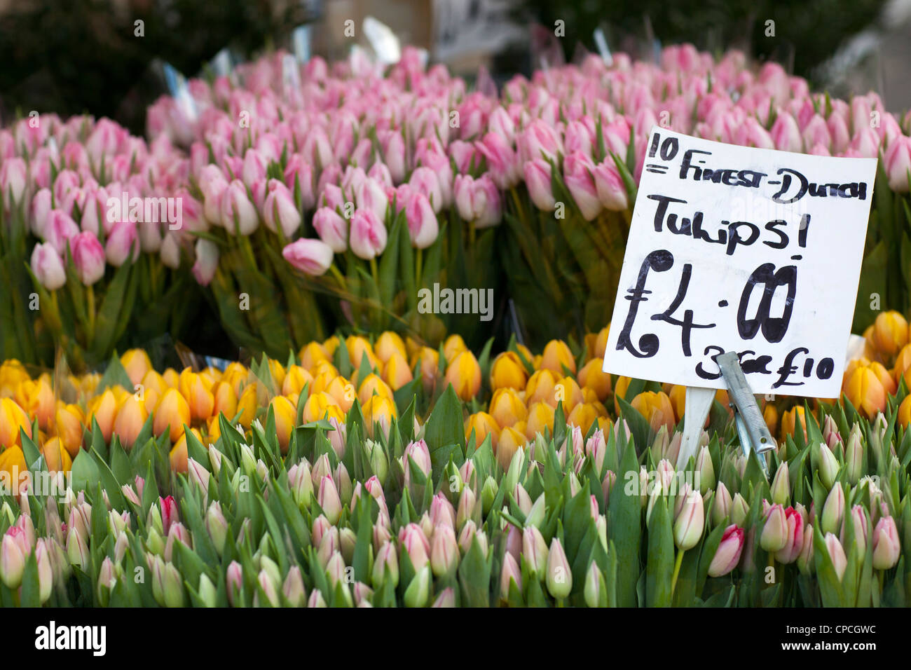 Columbia Road Flower Market Stock Photo - Alamy