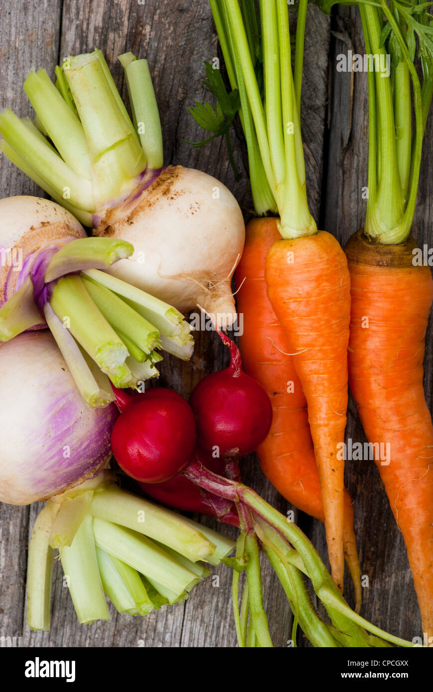 Root vegetables hi-res stock photography and images - Alamy
